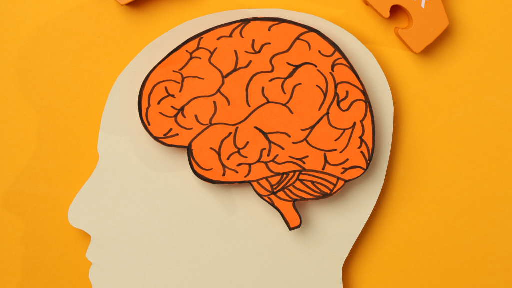 Cérebro cansado? Confira 5 dicas para potencializar sua memória